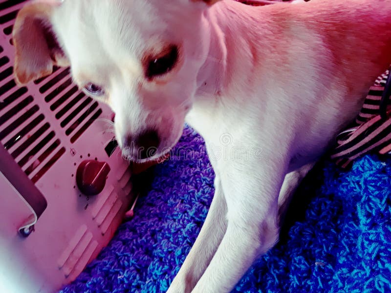 Deep in Thought Lil Baby Boy Stock Photo - Image of thought, deep ...