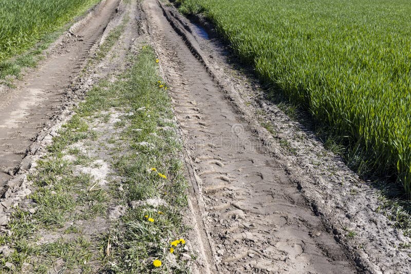 Deep Track on the Road in the Field Stock Image - Image of summer, blue ...