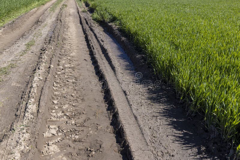 Deep Track on the Road in the Field Stock Image - Image of beautiful ...