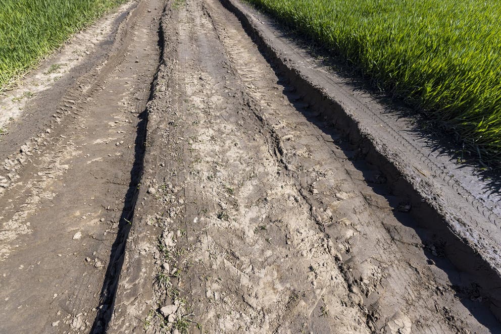 Deep Track on the Road in the Field Stock Photo - Image of summer ...