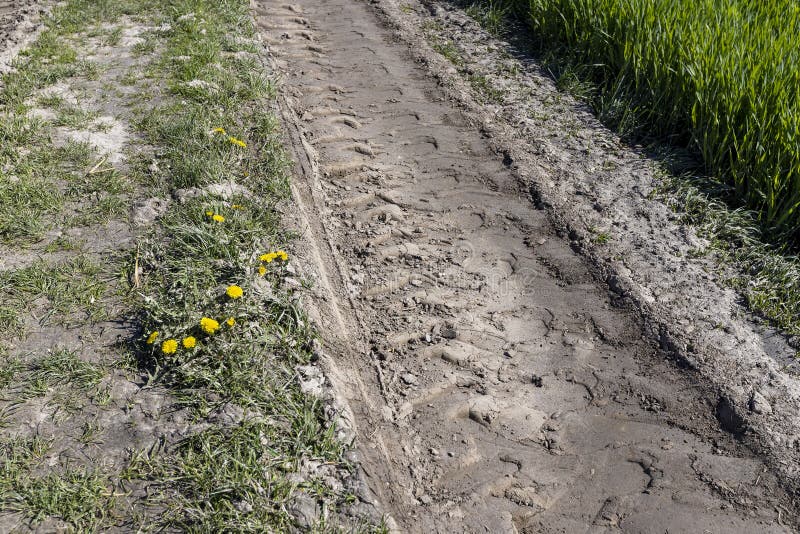 Deep Track on the Road in the Field Stock Image - Image of landscape ...