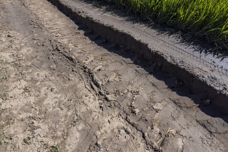 Deep Track on the Road in the Field Stock Photo - Image of agriculture ...