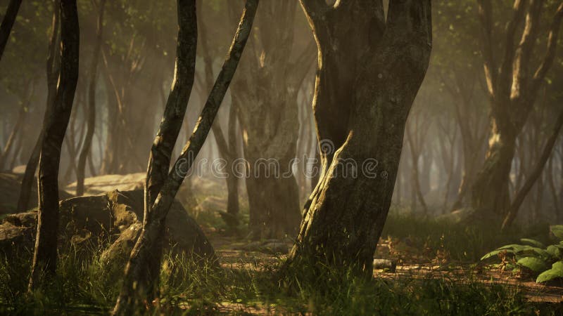 Deep Tropical Jungle in Darkness Stock Illustration - Illustration of ...