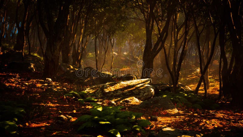 Deep Tropical Jungle in Darkness Stock Illustration - Illustration of ...