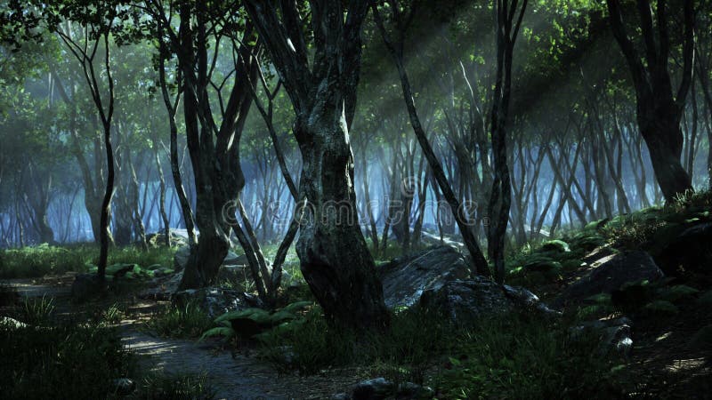 Deep Tropical Jungle in Darkness Stock Photo - Image of forest ...