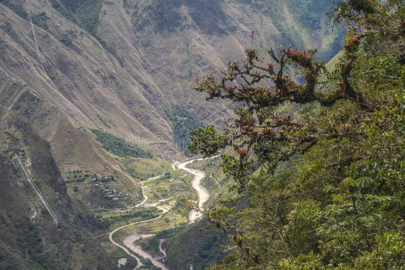 Deep valley in Andes stock image. Image of andes, tree - 225390509