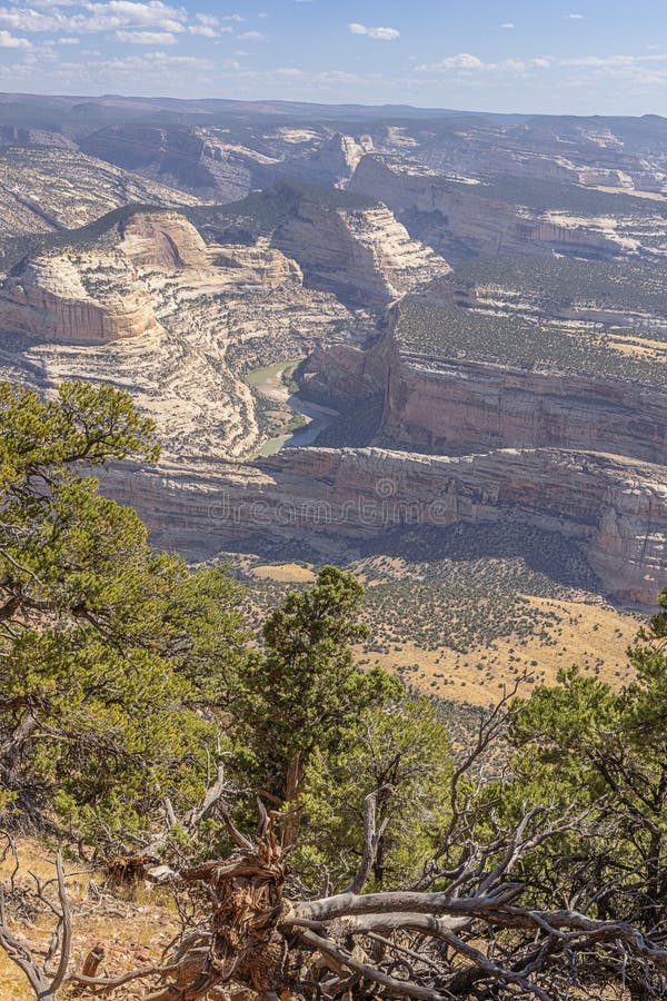 The Deep Valley of the Green River Stock Photo - Image of utah, vernal ...