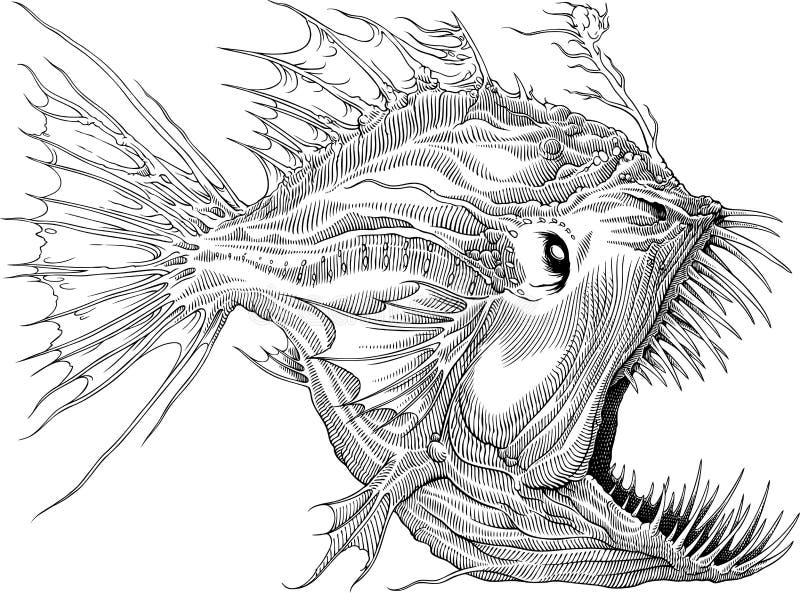 Deep water fish stock vector. Illustration of illustrations - 230533091