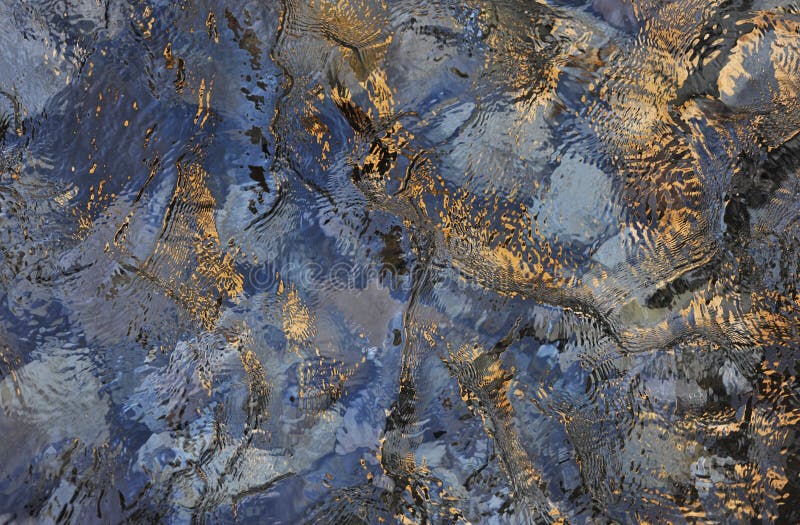 Tree Branches Reflect from Water Stock Image - Image of reflect ...