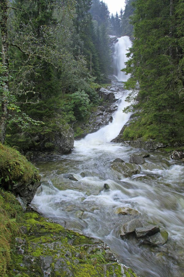 Deep waterfall stock photo. Image of rain, granvin, wood - 10832388