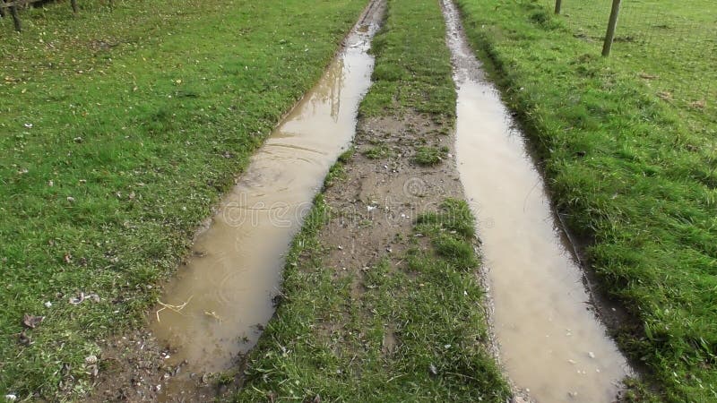 Deep Wheel Marks Filled with Rain Water from a Downpour Devon 2024 ...