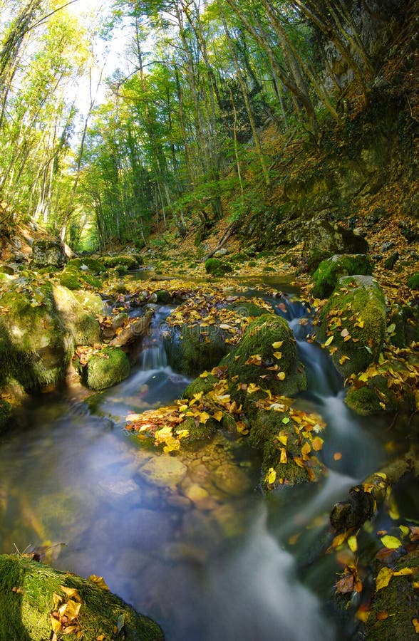 The wood river stock photo. Image of impressionism, landscape - 11895662