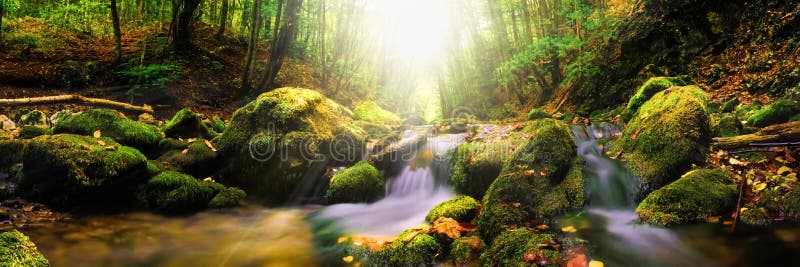 Deep wood river stock photo. Image of stone, flow, wood - 41568610