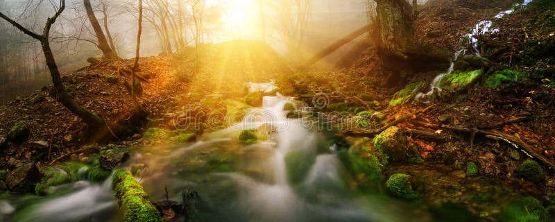 Deep wood river stock photo. Image of backwoods, forest - 41568042
