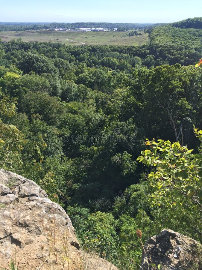 Deep woods cliff stock image. Image of mountain, shrubland - 76758247
