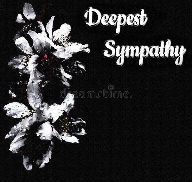 Deepest Sympathy Card with Abstract White Flowers on Black Background ...
