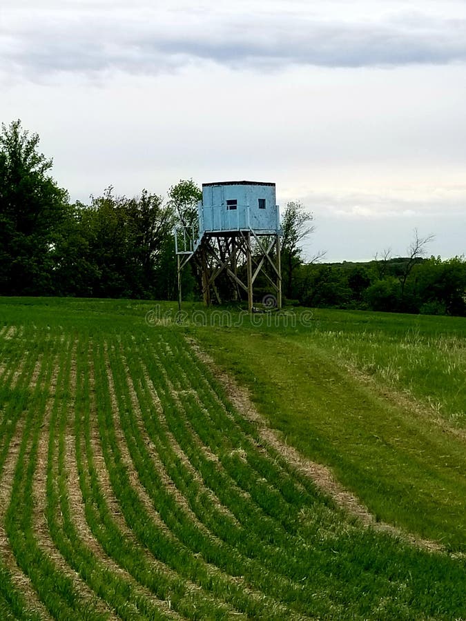 Deer Blind stock image. Image of minnesota, hunting - 119518505