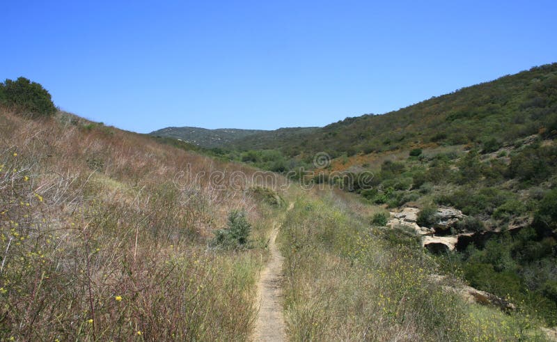 Deer Canyon Trail stock image. Image of trail, meadow - 24862377
