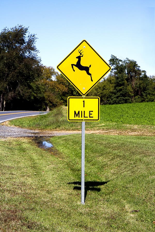 Deer Crossing Directional Road Sign Stock Photo - Image of meadow ...