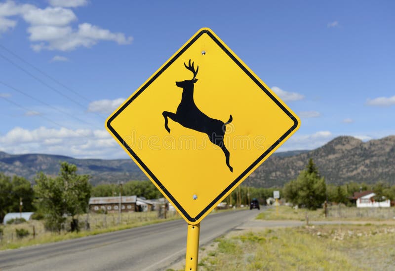 346 Hunting Deer Crossing Stock Photos - Free & Royalty-Free Stock ...