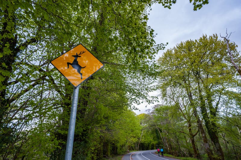 Deer Crossing Warning Sign by the Side of the Road Stock Image - Image ...