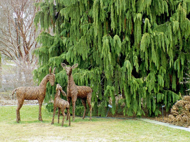 Deer Family Picture. Image: 84929458