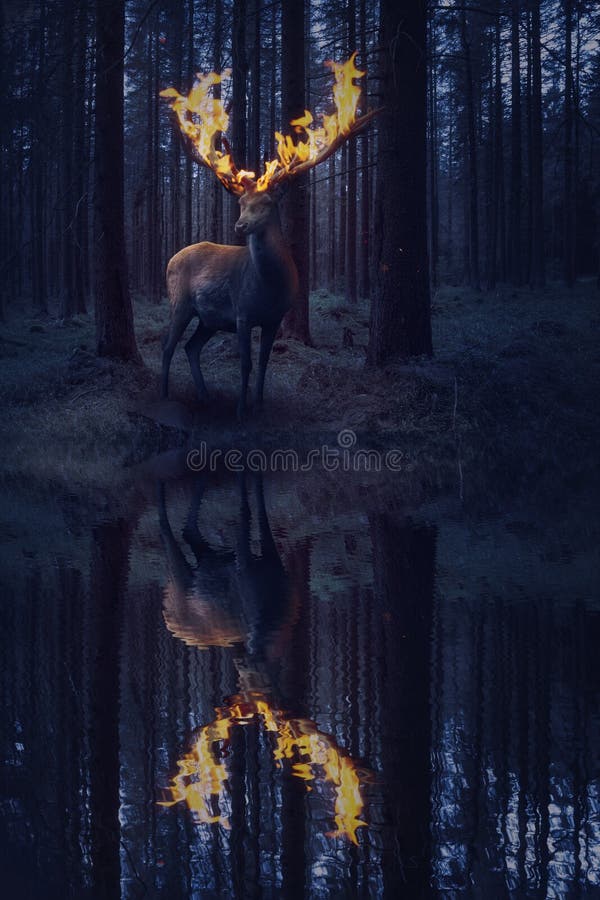 Deer with Fire Antlers in the Dark Forest Stock Photo - Image of ...