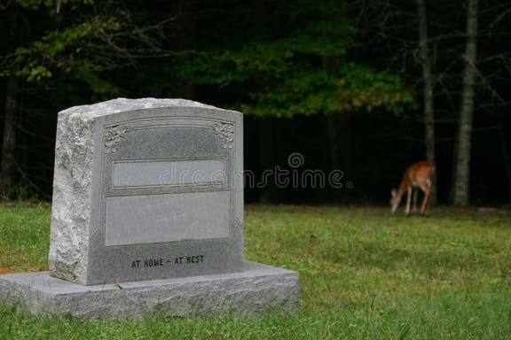 A deer at the grave stock image. Image of deer, marker - 422509