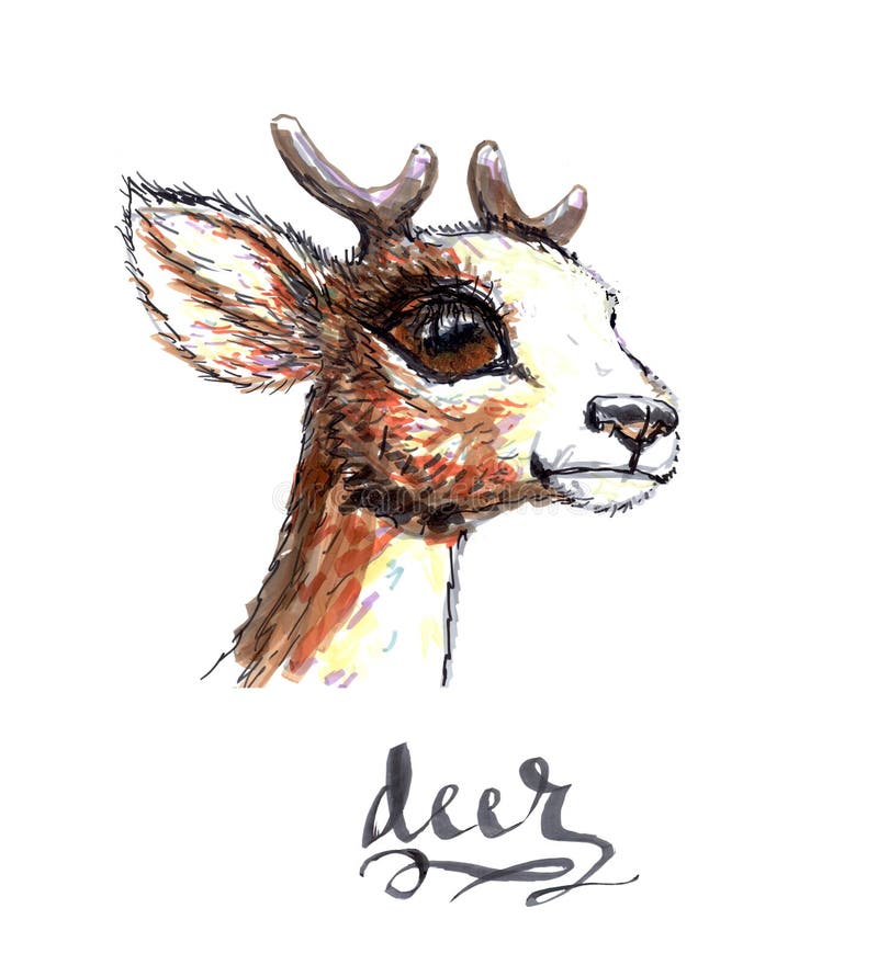 Deer. Head Avatar Figure Paints Stock Illustration - Illustration of ...