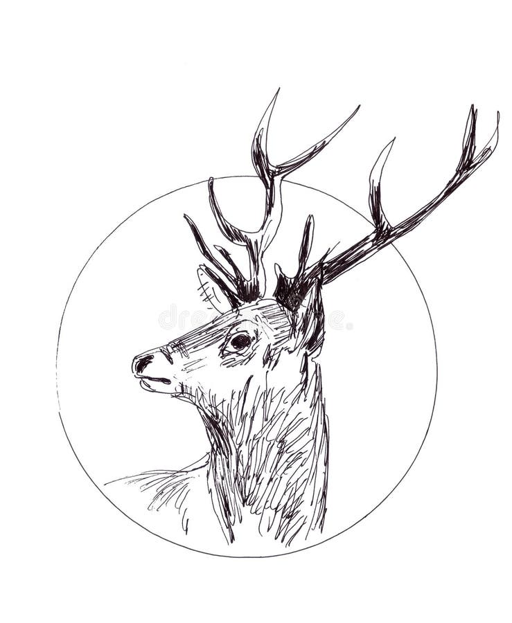 Deer Head in a Circle, Linear Graphic Drawing Stock Illustration ...