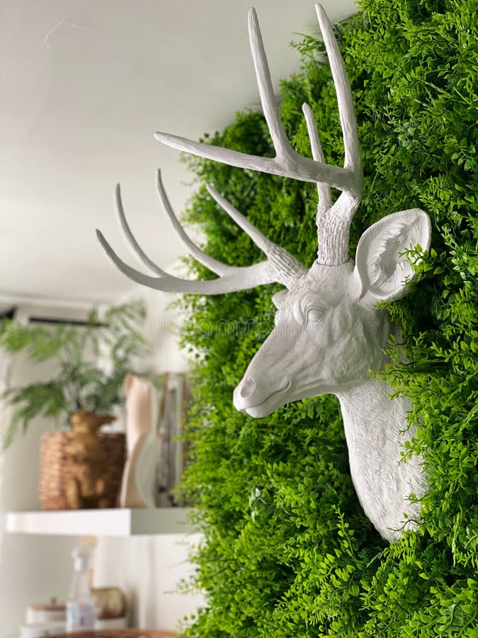 Deer head decoration stock illustration. Illustration of decor - 273934501