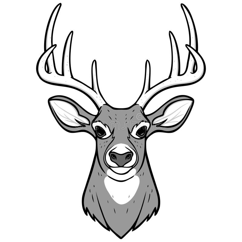 Easy Buck Head Drawing