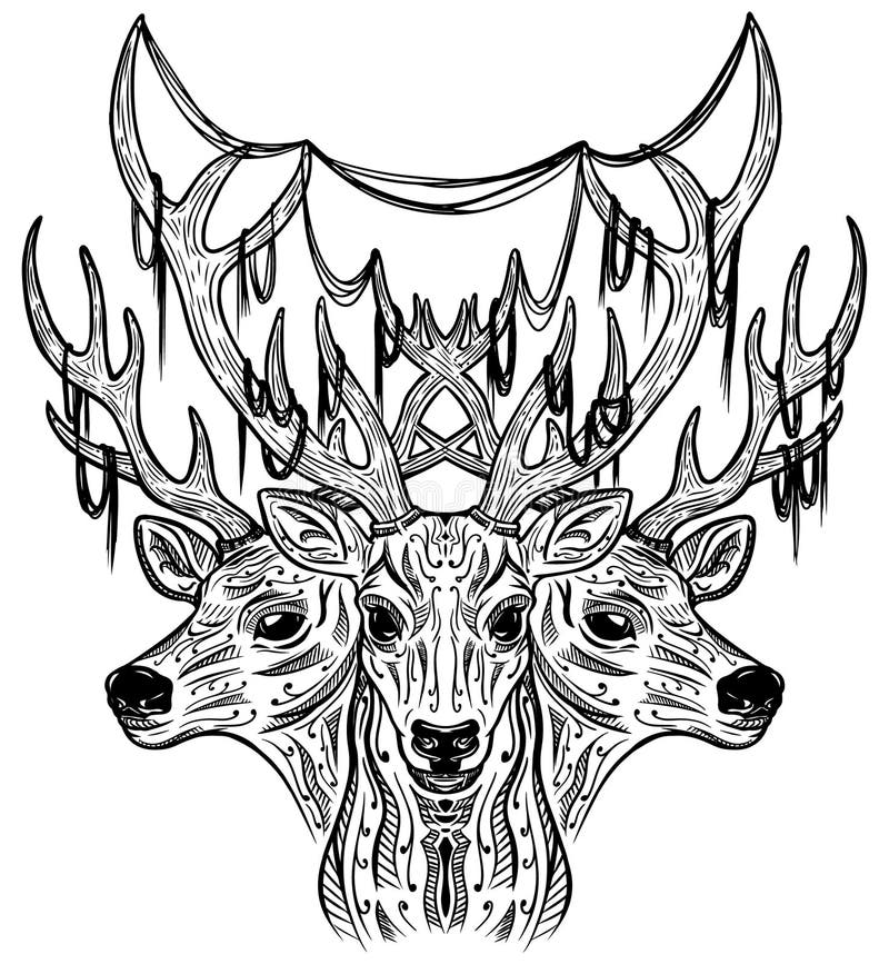 Deer Head Line Art Illustration, Vector Stock Vector - Illustration of ...