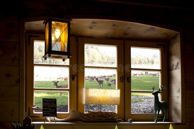 290 Deer Looking Window Stock Photos - Free & Royalty-Free Stock Photos ...