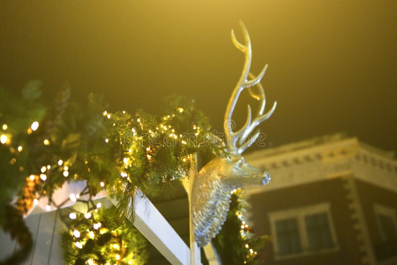 Deer on the House in Christmas Decorations. Beautiful Lights and ...