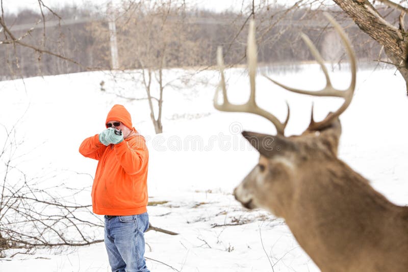 Deer Hunter Taking Aim at a Whitetail Deer Stock Image - Image of buck ...