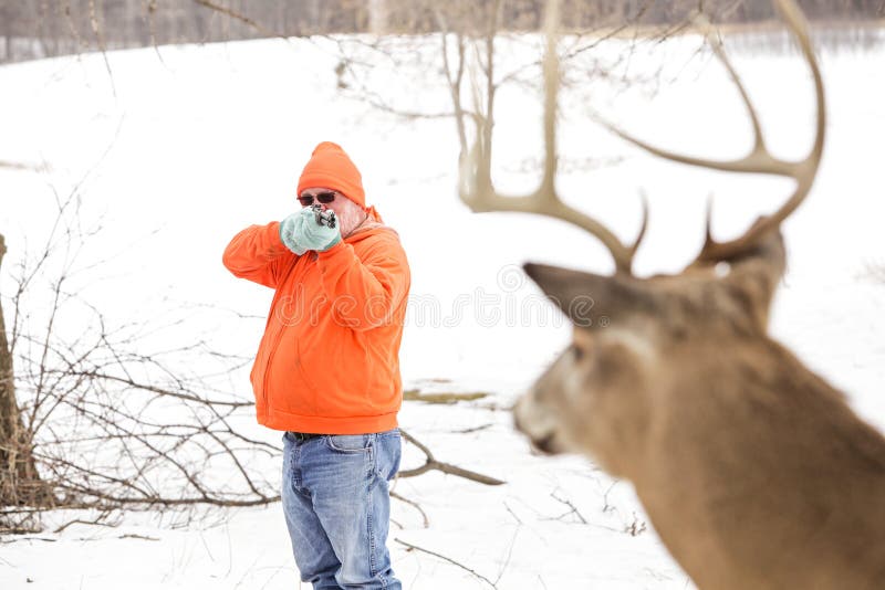 Deer Hunter Taking Aim at a Whitetail Deer Stock Photo - Image of ...