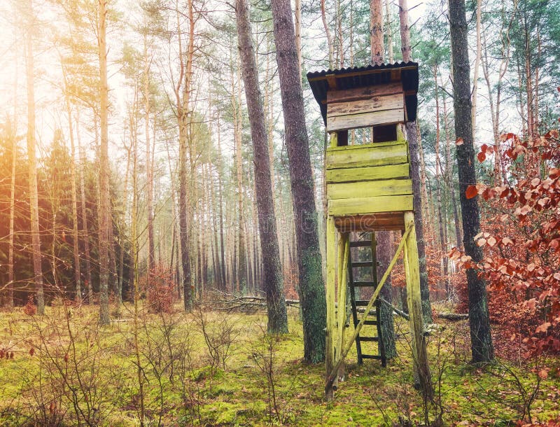 Deer Hunting Tower in Woods Stock Image - Image of outdoors, stand ...
