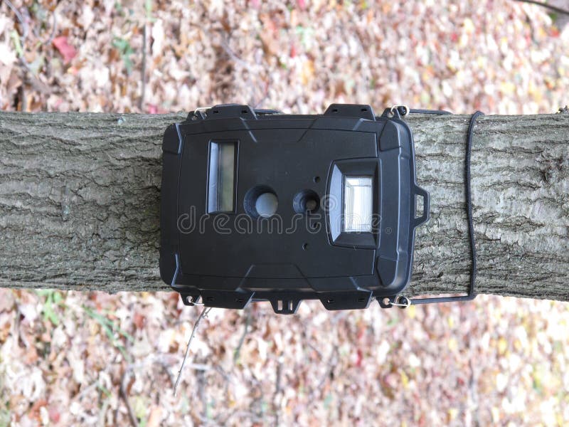 Deer hunting trail camera stock image. Image of plastic - 11443969