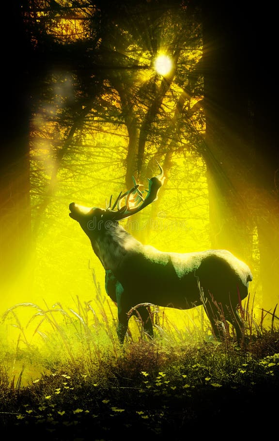 Deer Inside the Forest Under the Sun Stock Illustration - Illustration ...