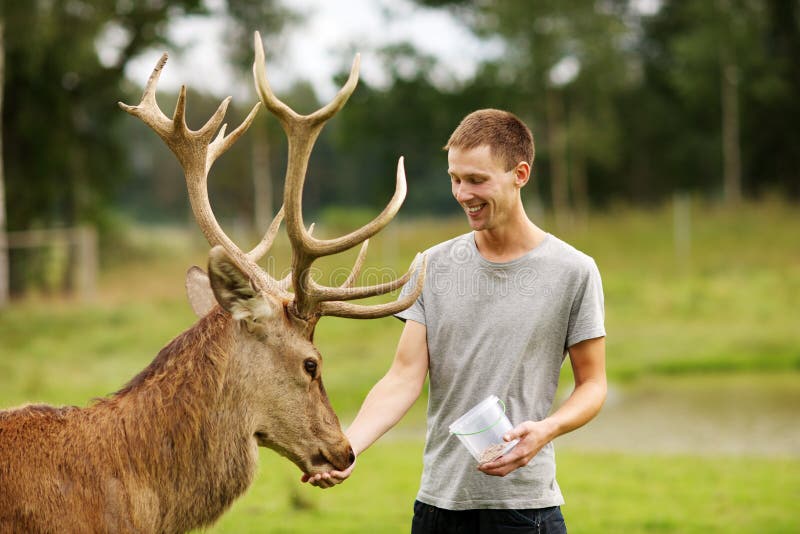 Deer with man stock photo. Image of closeup, horning - 28681896