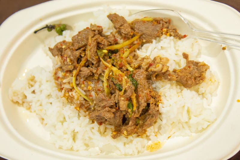 Deer Meat is Fried Curry. on the Rice. Stock Image - Image of bowl ...
