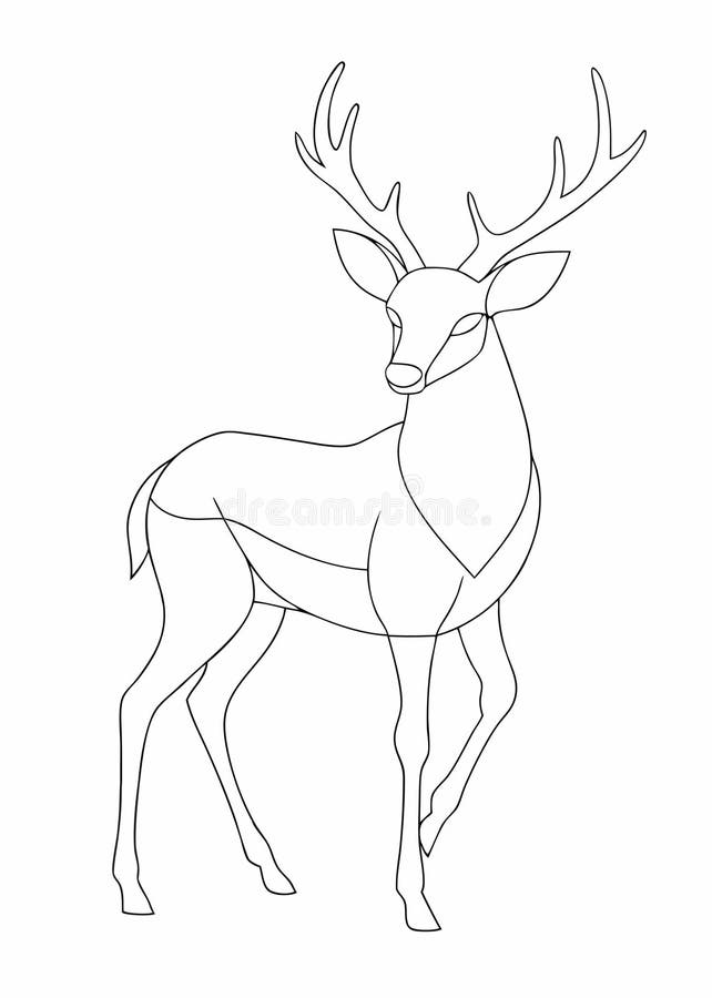 Deer Minimal Line Art Illustration on White Background Stock Vector ...