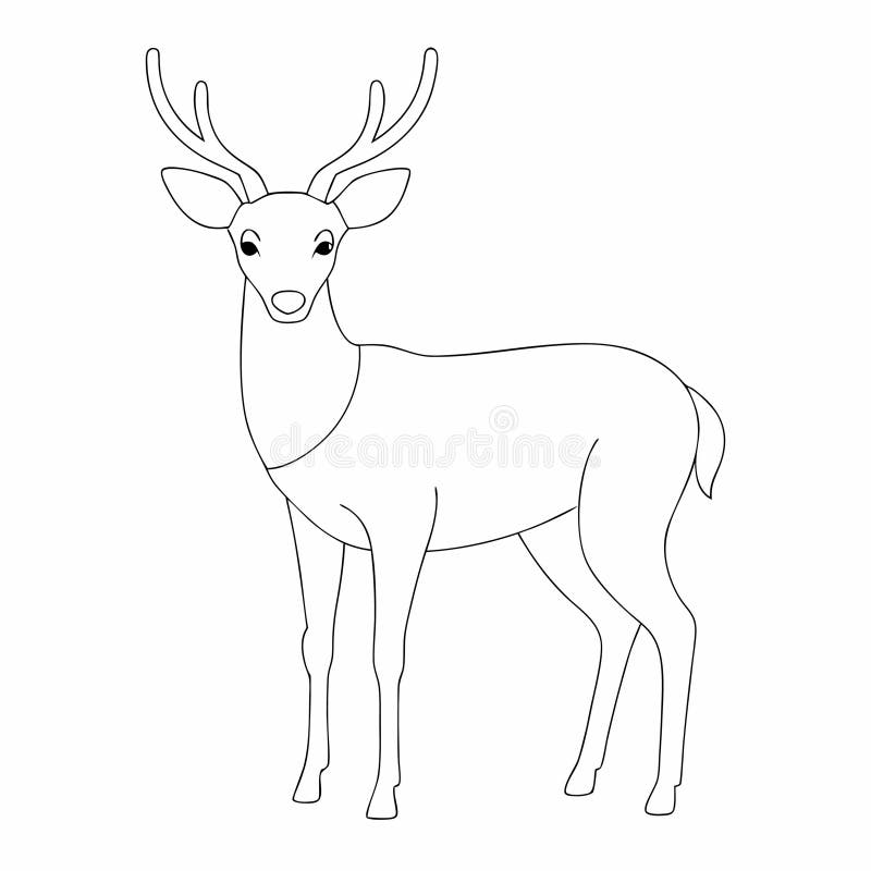 Deer Minimal Line Art Illustration on White Background Stock Vector ...