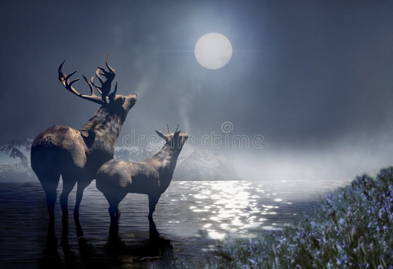 Deer and Roe Deer Under the Full Blue Moon Stock Illustration ...