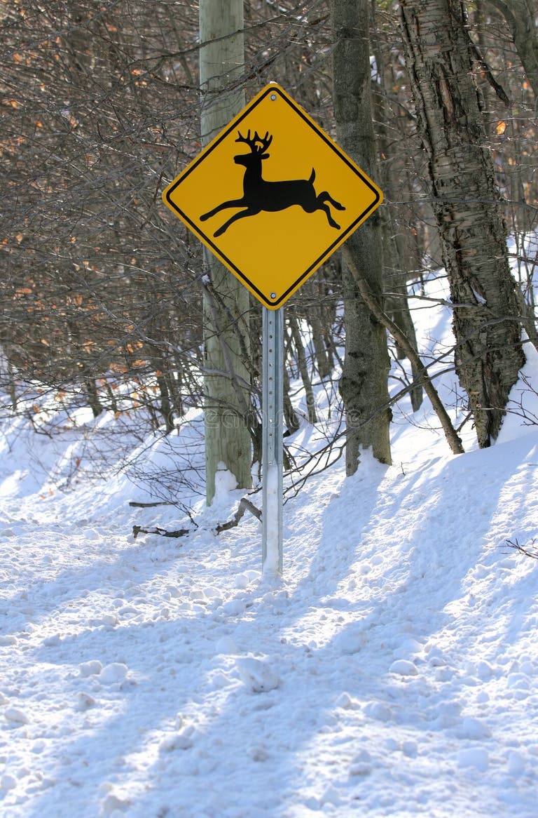 321 Deer Crossing Caution Sign Stock Photos - Free & Royalty-Free Stock ...