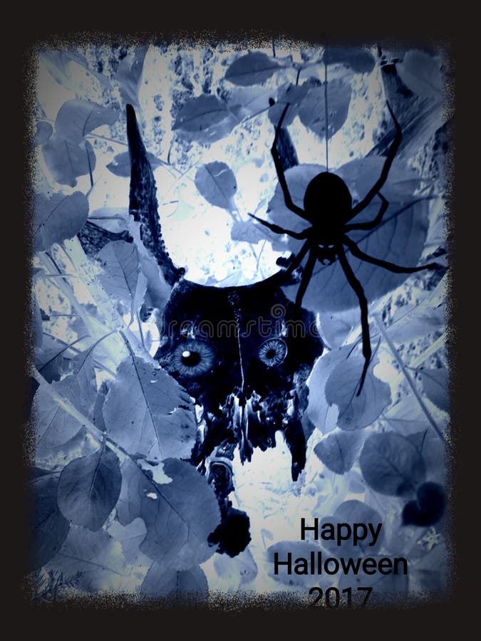 Halloween stock image. Image of colors, halloween, skull - 139530021