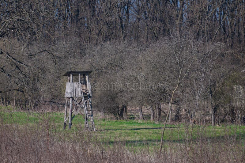 Deer Stand in the Middle of the Forest Stock Image - Image of green ...