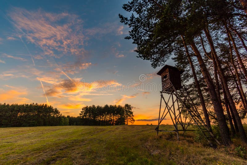 Deer Stand Tree Stand beside Field and Forest at Sunset Light, Czech ...