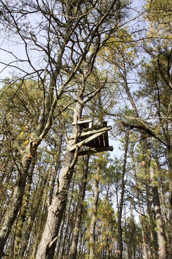 Deer Stand stock image. Image of seat, perch, concealment - 103685481